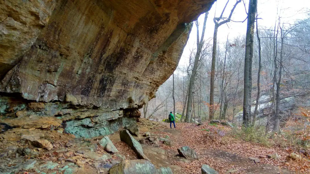 Shawnee National Forest Travel Guide | Everything You Need to Know