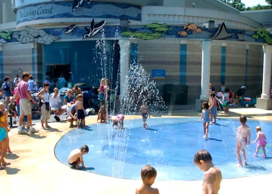 Best Splash Pads and Public Pools in Chicago and Suburbs