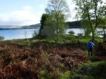 Best Hiking in Scotland: Walking the 57-Mile Loch Lomond & Cowal Way