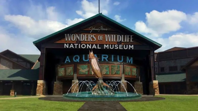 18 Things to Do in Springfield Missouri and Best Route 66 Attractions