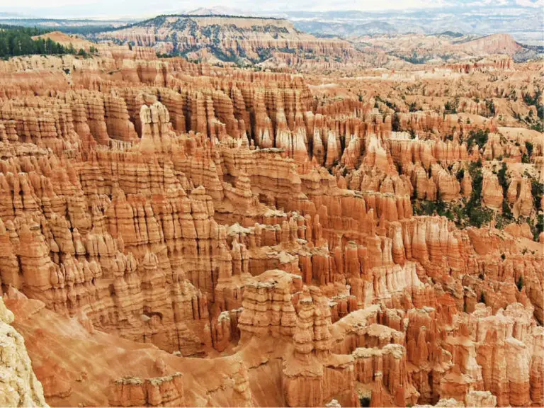 Best Bryce Canyon Hiking Trails > Hidden Tropic Trail is a Must Do!