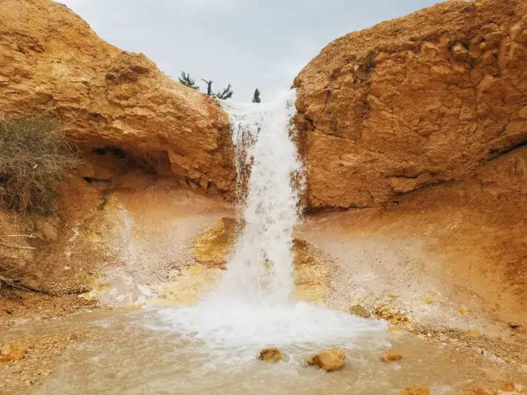 Best Bryce Canyon Hiking Trails > Hidden Tropic Trail is a Must Do!
