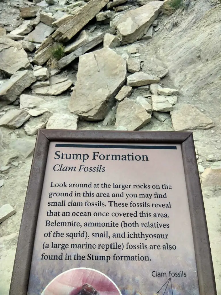 7 Things to Do at Dinosaur National Monument