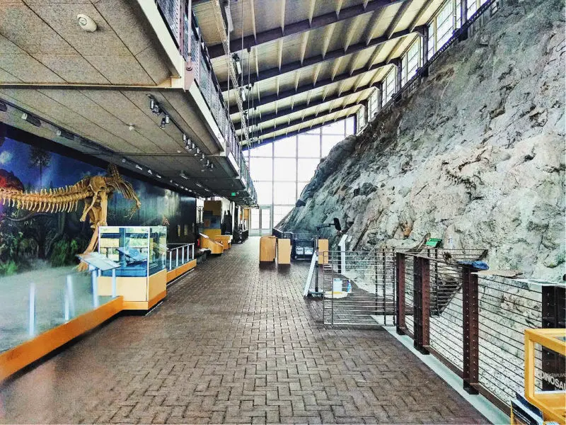 7 Things to Do at Dinosaur National Monument