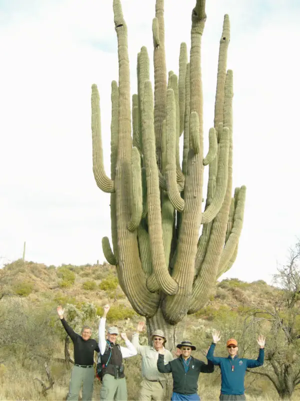 T-Rex Dinosaur Cactus > Step-by-Step Guide To Finding Exact Location