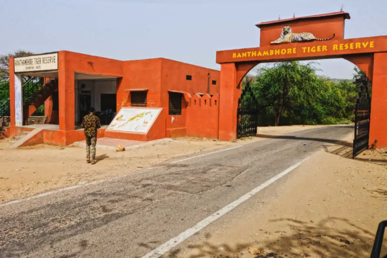 7 Things to Know Before Visiting Ranthambore Tiger Reserve