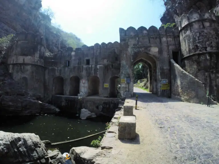 7 Things to Know Before Visiting Ranthambore Tiger Reserve