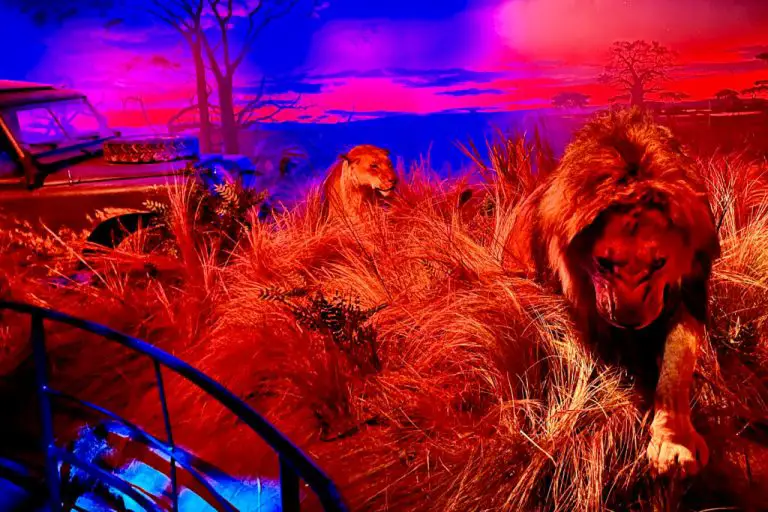 Bass Pro's Wonders of Wildlife > How To Get Discount Tickets