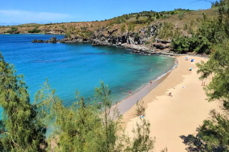 Best Beaches to Snorkel in Maui - These Are Out of This World