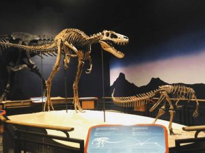 Quick Guide: Chicago Museums With Dinosaurs - Life Finds a Way