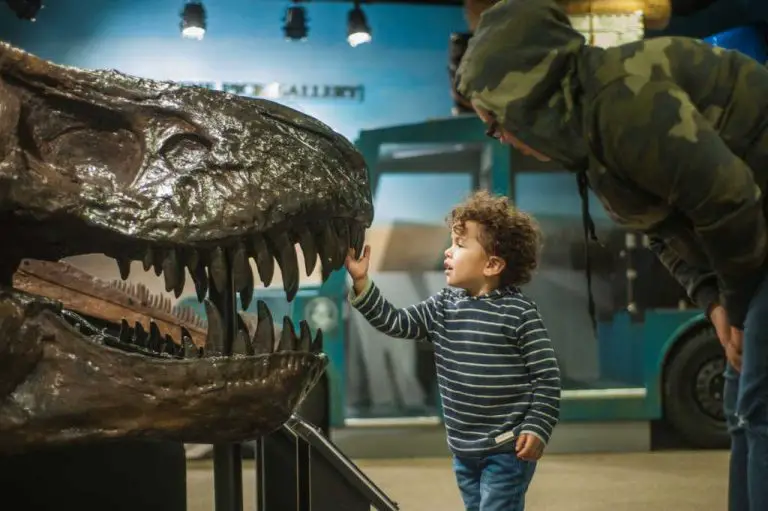Quick Guide: Chicago Museums With Dinosaurs - Life Finds a Way