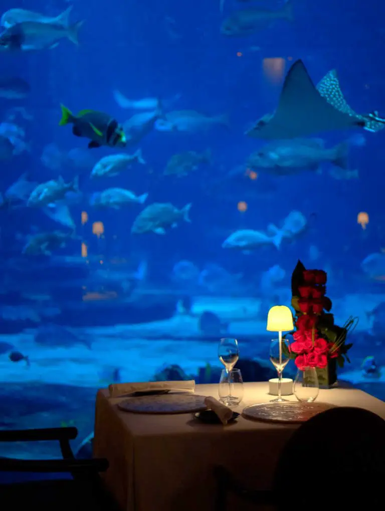 Dubai's Underwater Restaurants - Show Her How Much You Love Her