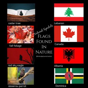 Flags Found In Nature From Around the World