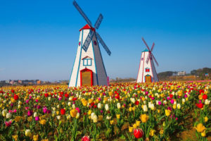 40 Special Places in the US That Feel Like Europe