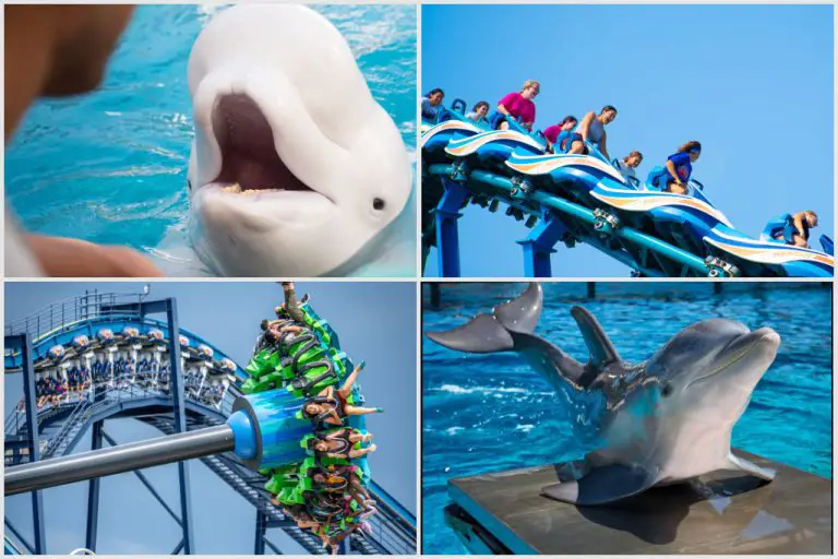 Discounted SeaWorld Tickets For All Theme Parks