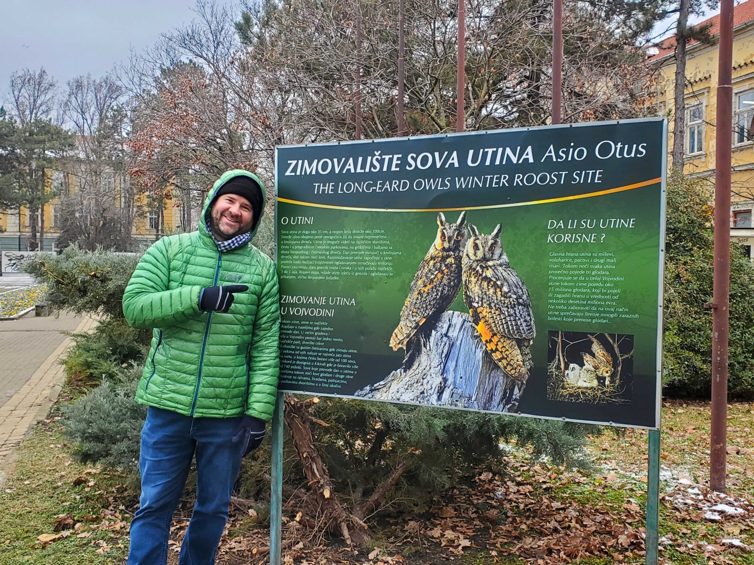 Kikinda Owl Safari 🦉 Everything You Need to Know