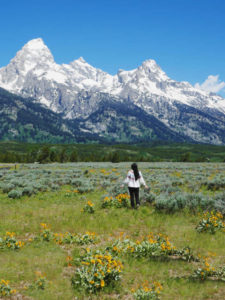 Yellowstone Itinerary - How to Plan an Epic Trip!